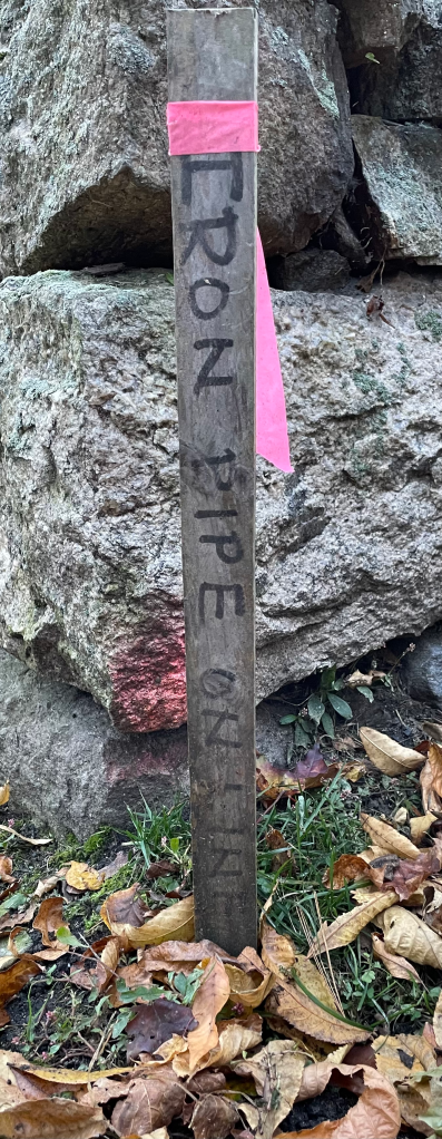 IRON PIPE – Jason Y. Wood